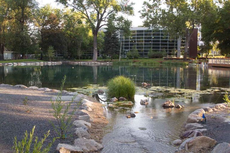 Fairmont Park Pond - Junesucker.com - Fishing Utah's Urban Ponds