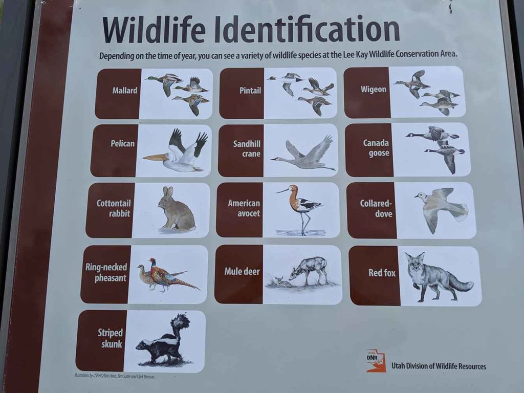 Lee Kay Ponds - Junesucker.com - Central Utah Fishing