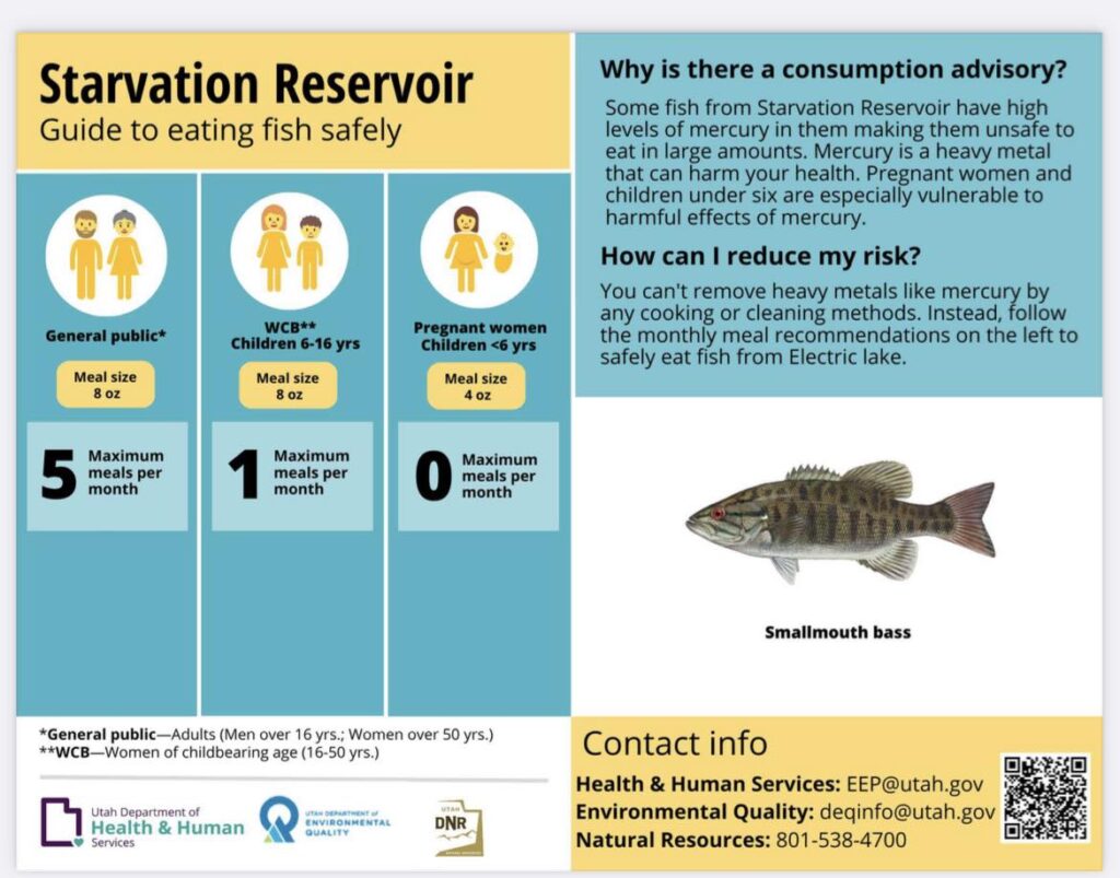 Starvation Reservoir - Junesucker.com - Fishing northeastern Utah